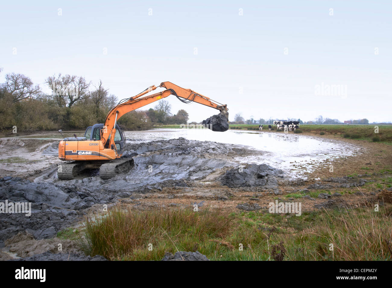 A pond being dredged with a small digger in a pastoral/rural setting ...
