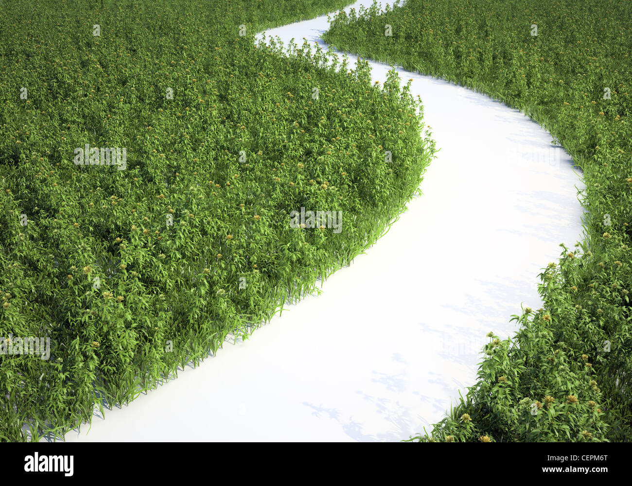 A pathway through a meadow Stock Photo - Alamy