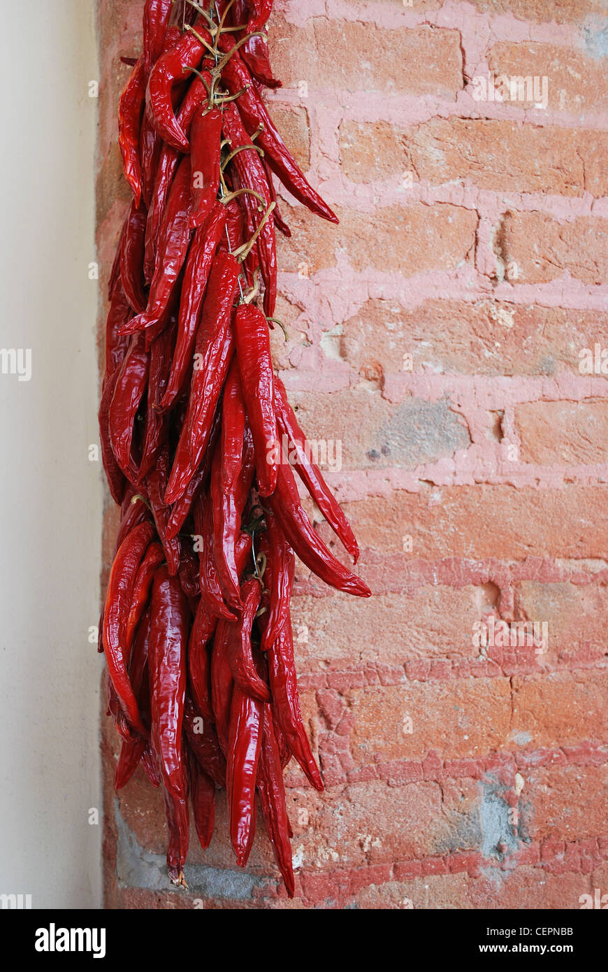 Red hot peppers hanging on the wall, free copy space on the right Stock ...