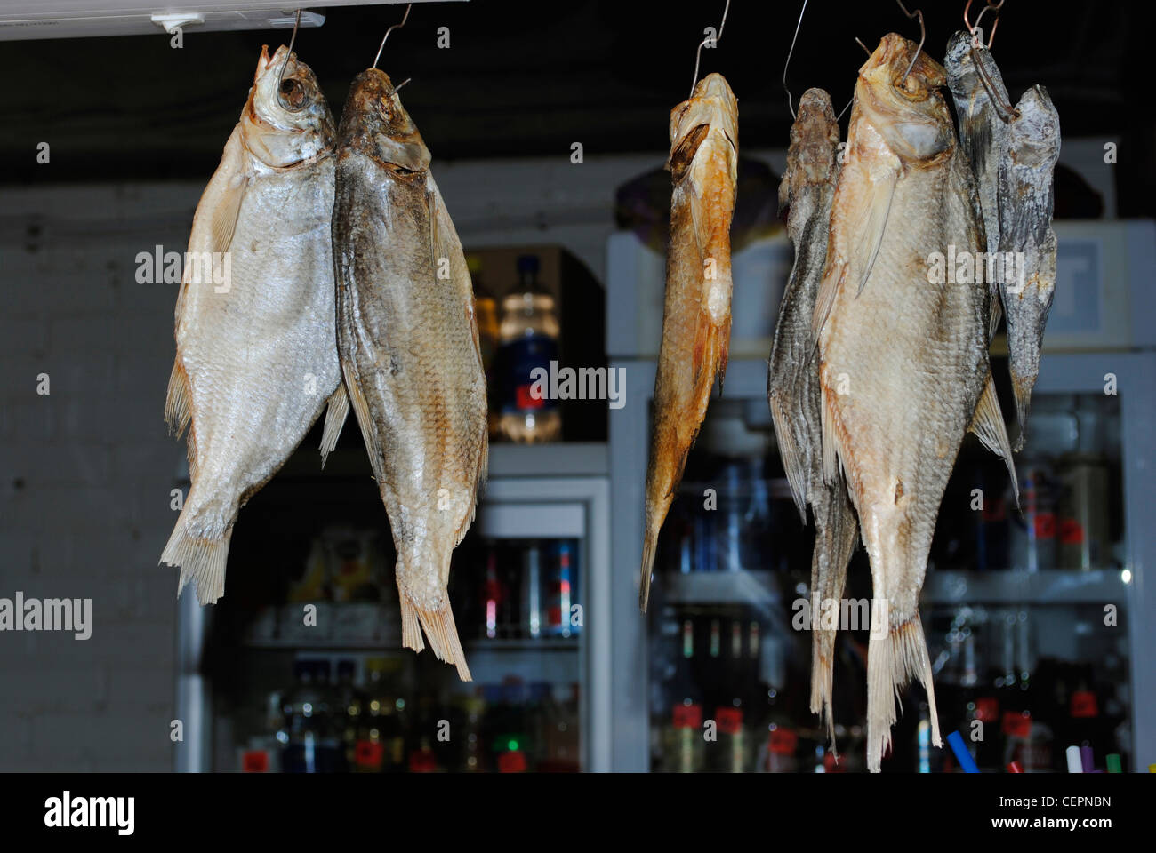 Ukraine. Autonomous Republic of Crimea. Koktebel. Dried fish hanging in ...