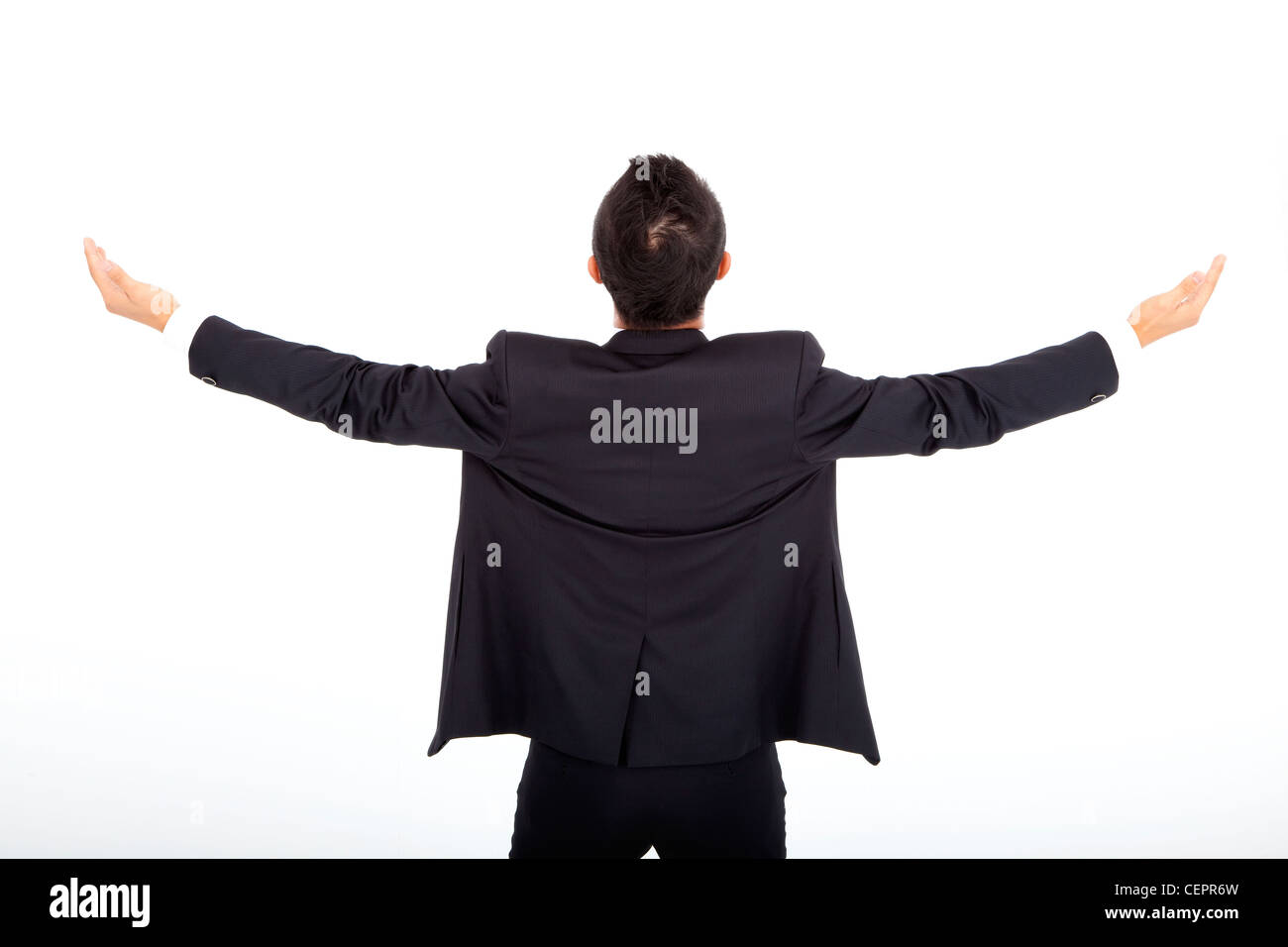 Successful businessman back view isolated hi-res stock photography and ...
