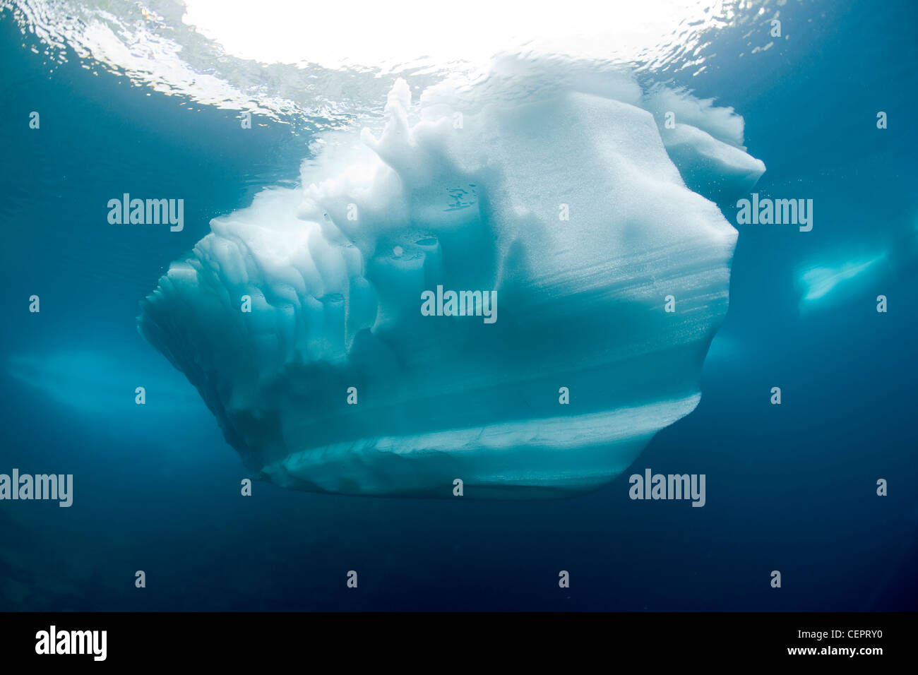 Sheet of floating ice hi-res stock photography and images - Alamy