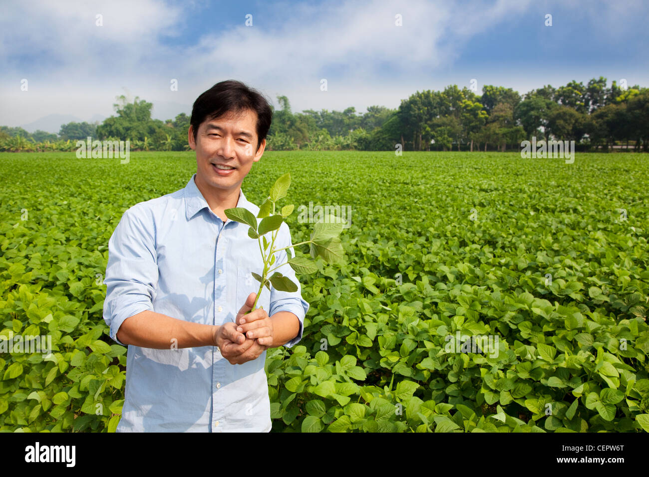 chinese farmer holding sapling and standing on his farm Stock Photo - Alamy