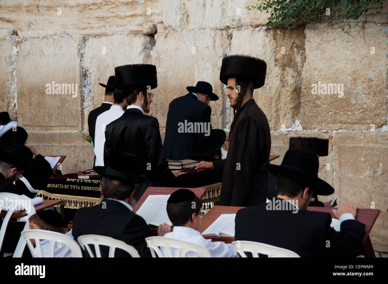 Shabbat day, The Torah ark that can house over 100 Torah scrolls, in ...
