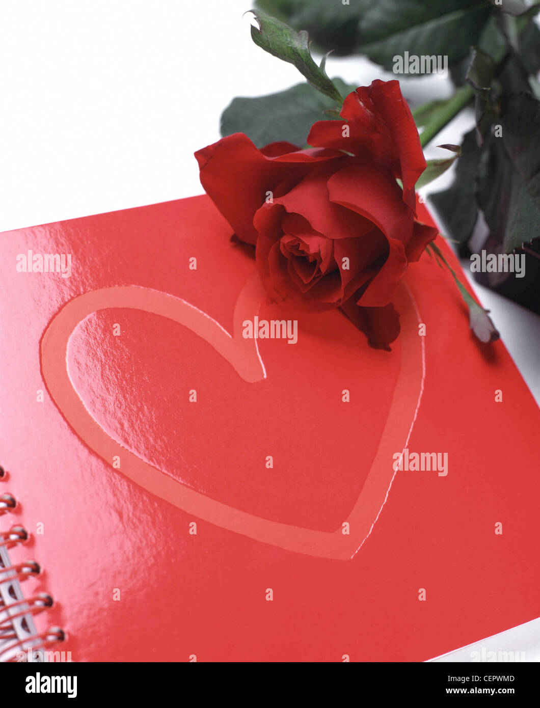 Rose heart of a rose hi-res stock photography and images - Alamy