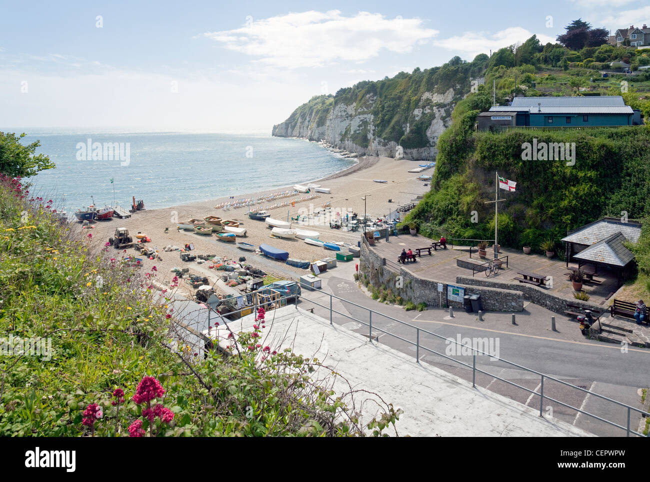 Europe, England, Devon, Beer, Seafront and Beach Stock Photo - Alamy