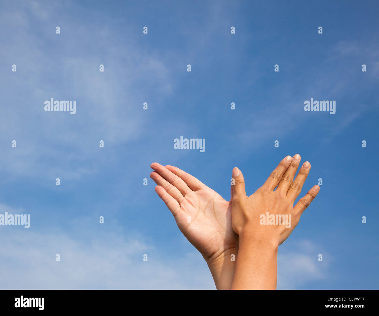 bird hand gesture in the blue sky Stock Photo - Alamy