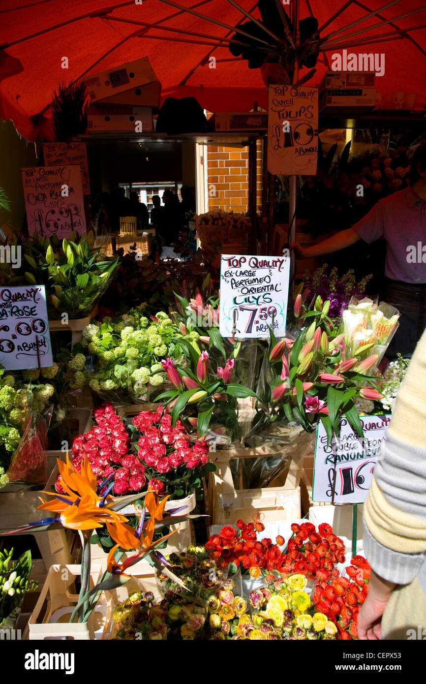 Flowers for sale from a stall in the Columbia Road flower market held ...