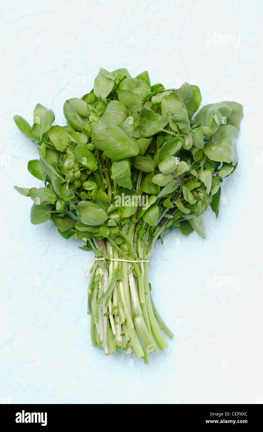 A bunch of fresh watercress Stock Photo - Alamy