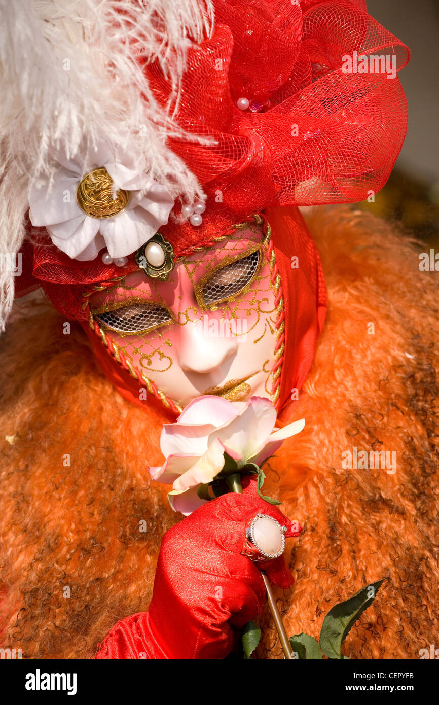 Rose masquerade flower hi-res stock photography and images - Alamy