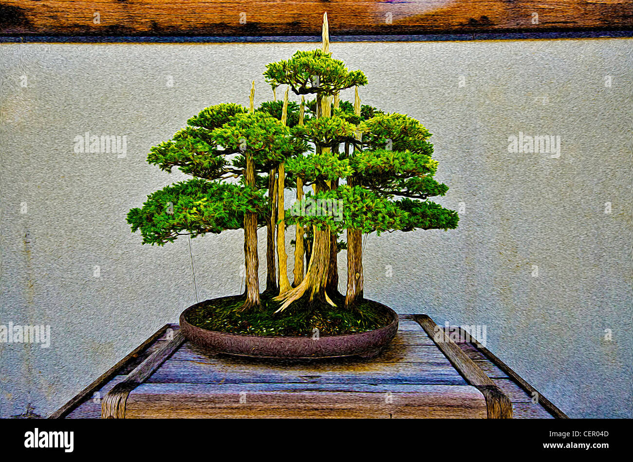 Bonsai national arboretum hi-res stock photography and images - Alamy