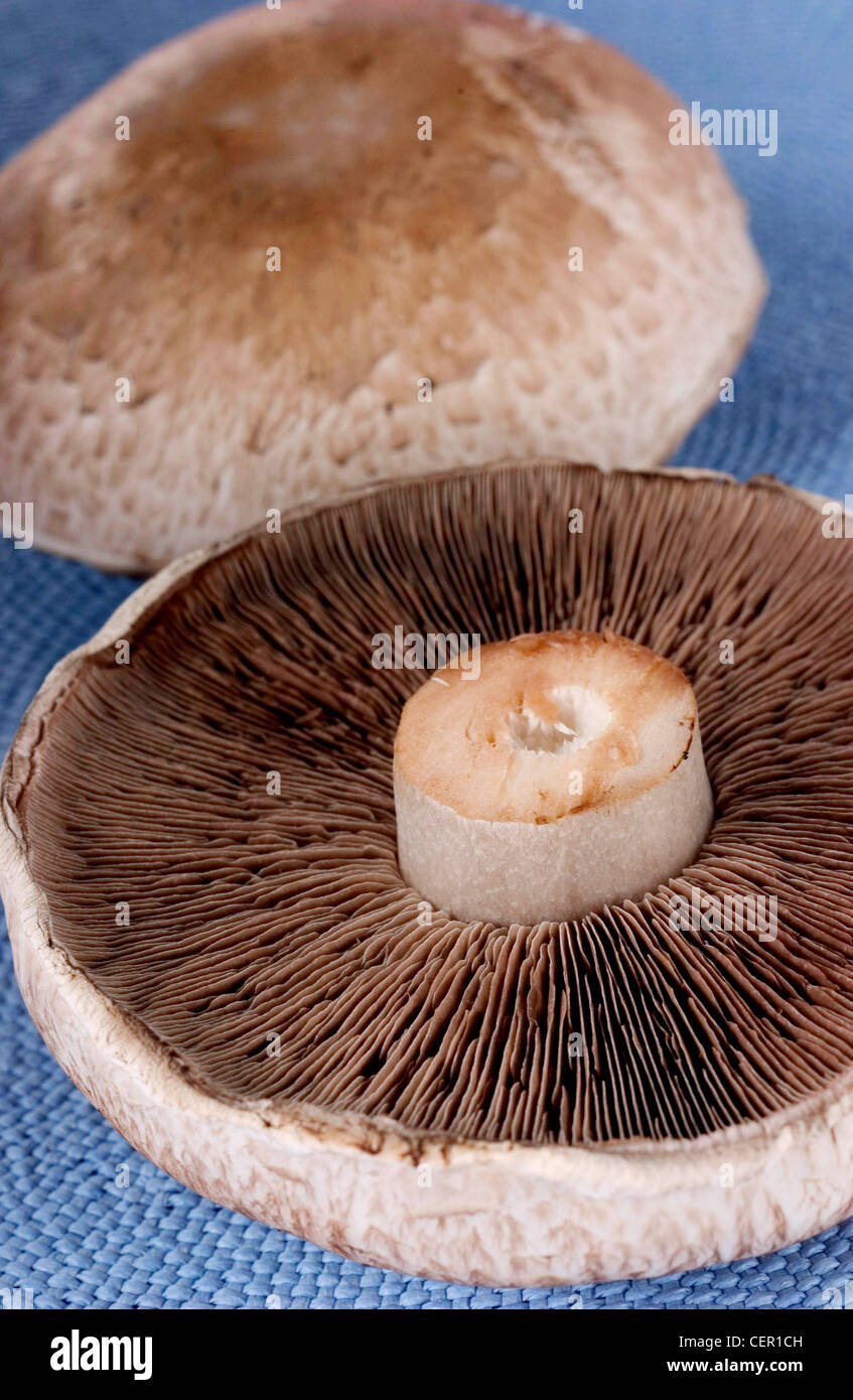 Two large mushrooms fungi hi-res stock photography and images - Alamy