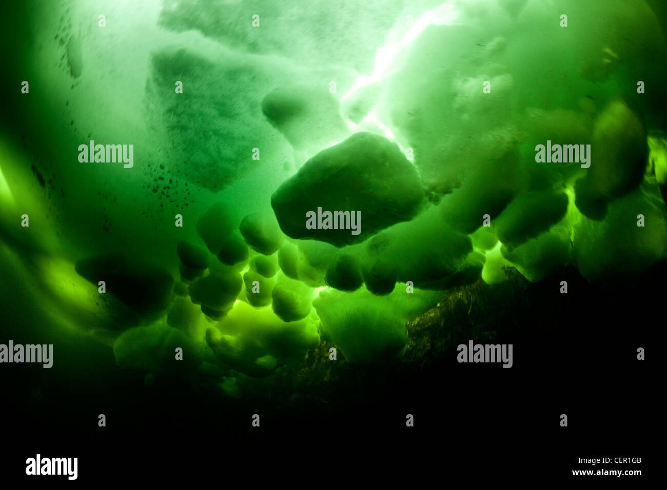 Under sea ice hi-res stock photography and images - Alamy