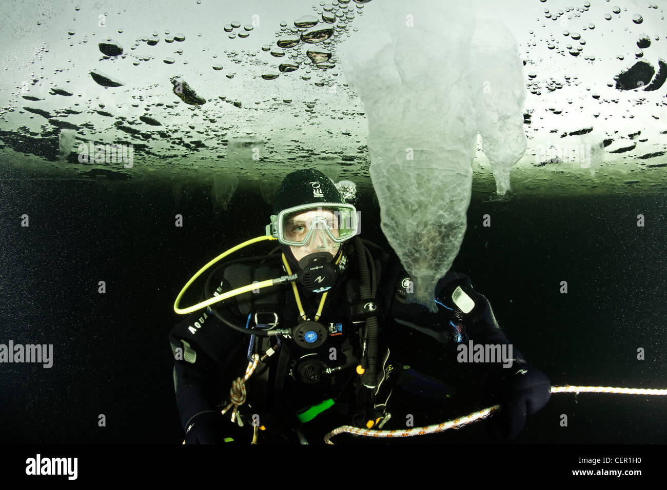 Ice diver under the ice icediving hi-res stock photography and images ...