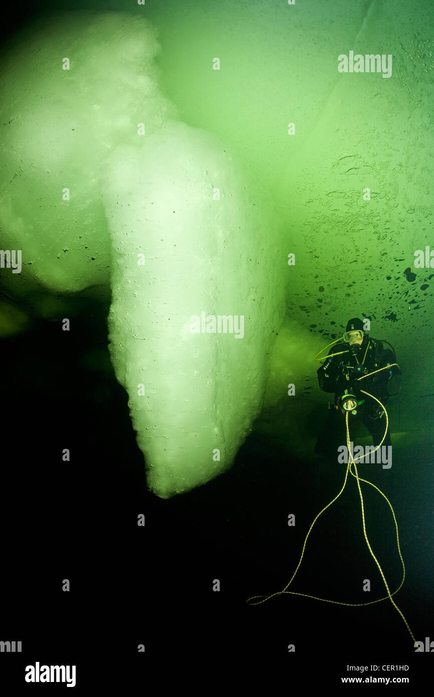 Ice diver under the ice icediving hi-res stock photography and images ...