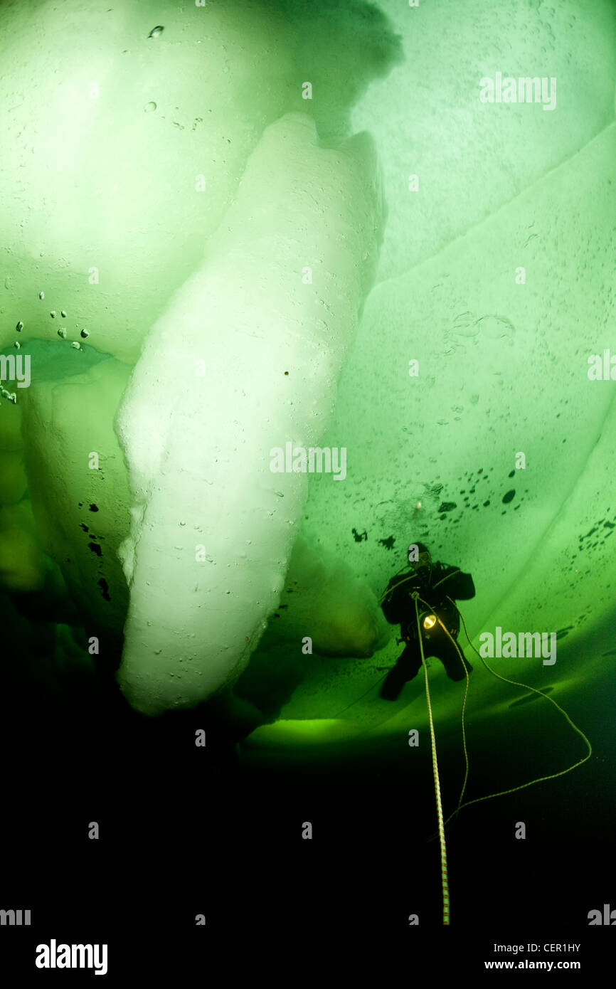 Ice diver under the ice icediving hi-res stock photography and images ...