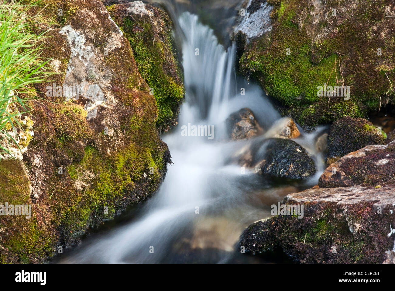 Flowing water of beautiful mountain stream Stock Photo - Alamy
