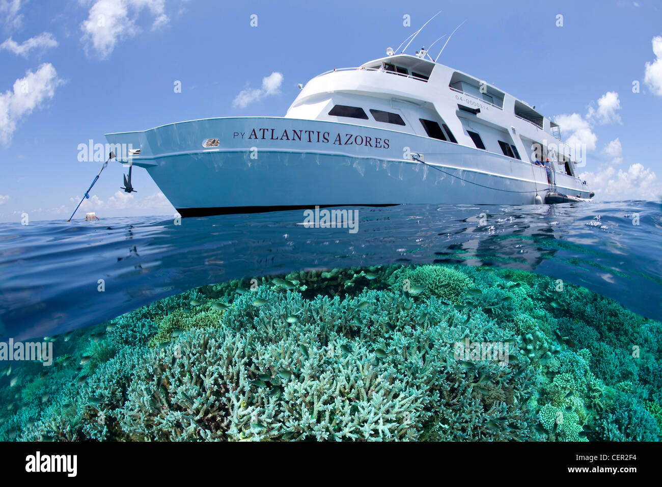 Liveaboard over Coral Reef, Tubbataha Reef, Sulu Sea, Philippines Stock ...