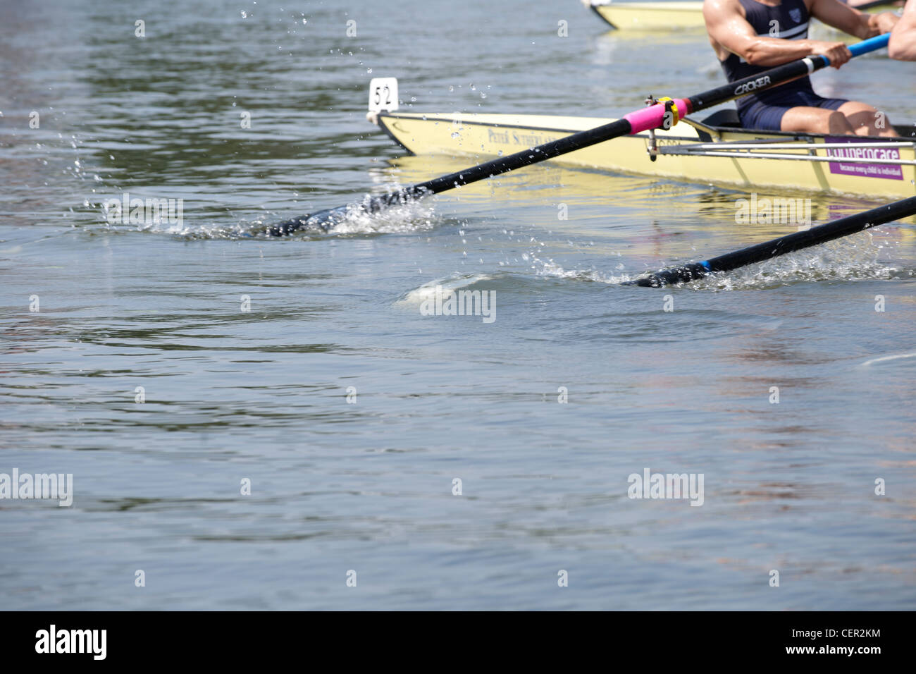 Rowing Oars In Water