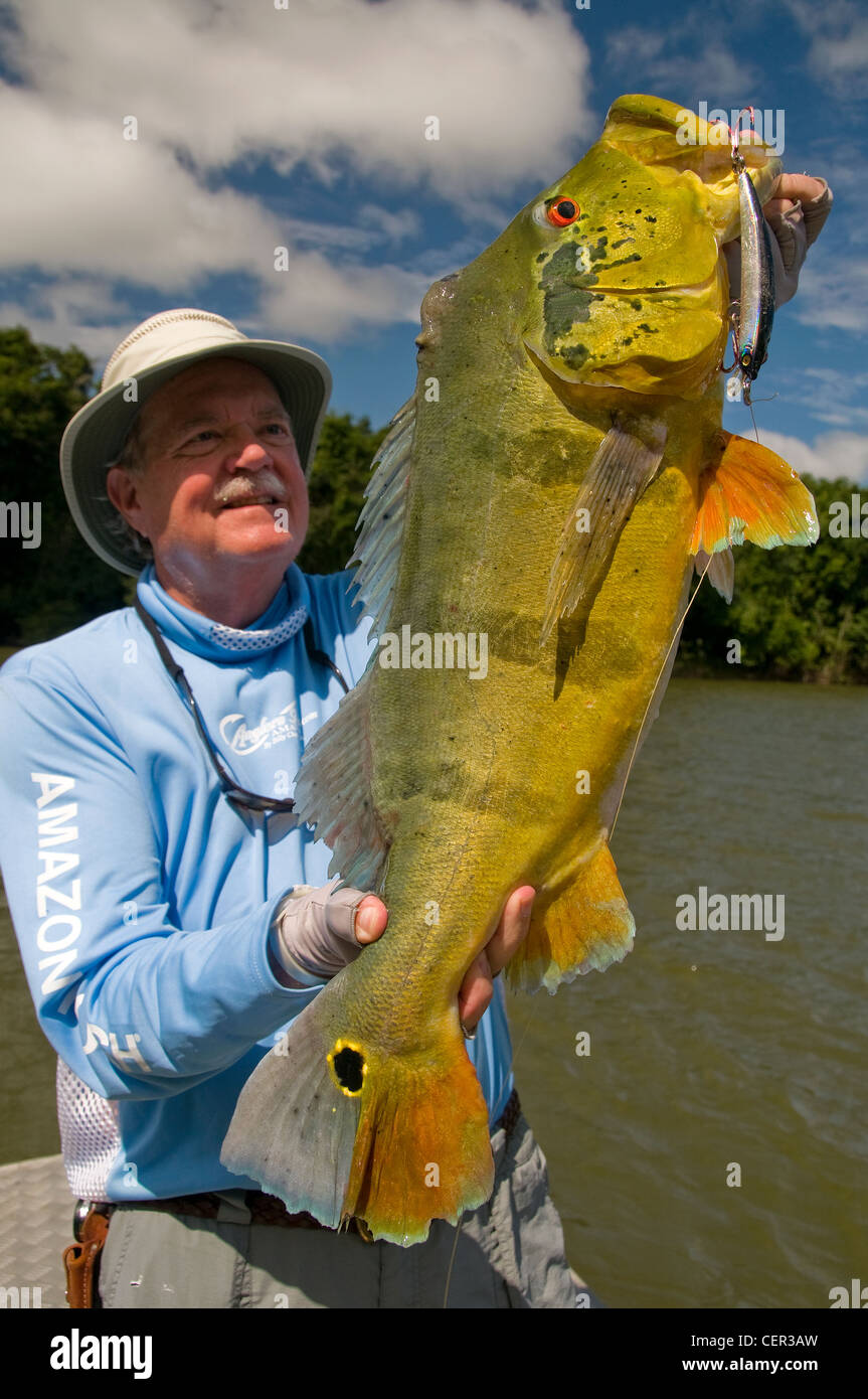 An angler admires a giant peacock bass caught on a Yozuri minnow plug ...