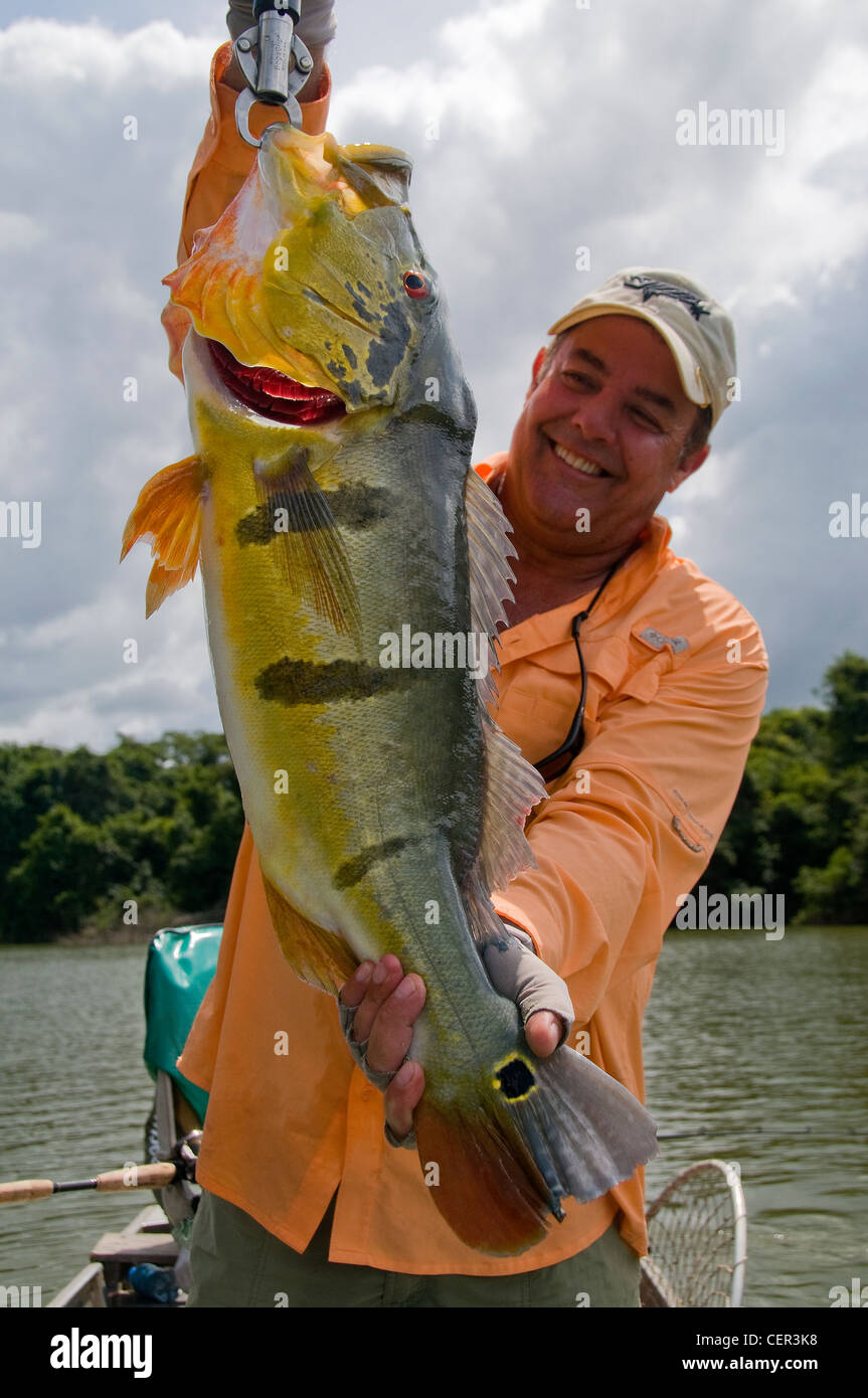 An angler admires a giant peacock bass caught in a tiny, remote lagoon ...