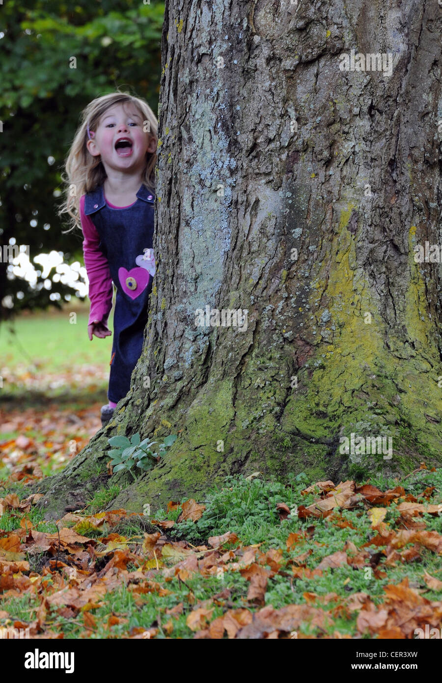 Tree hide hi-res stock photography and images - Alamy