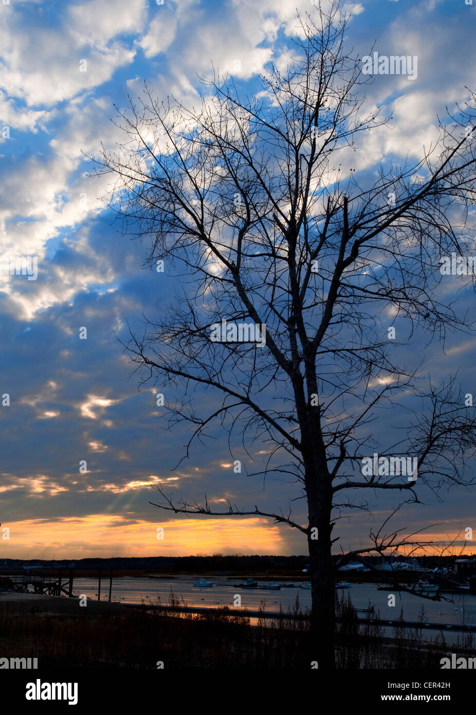 Sunset at marina hi-res stock photography and images - Alamy
