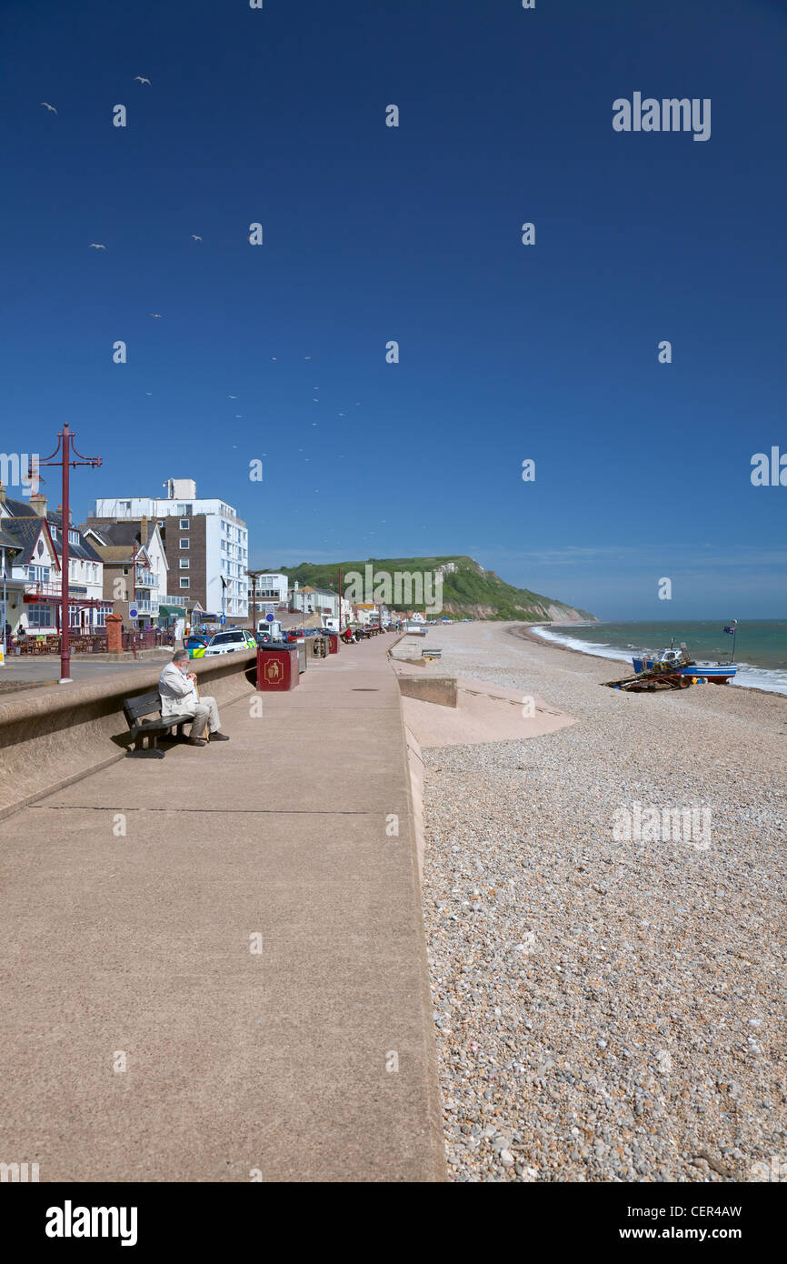 Seaton_beach hi-res stock photography and images - Alamy