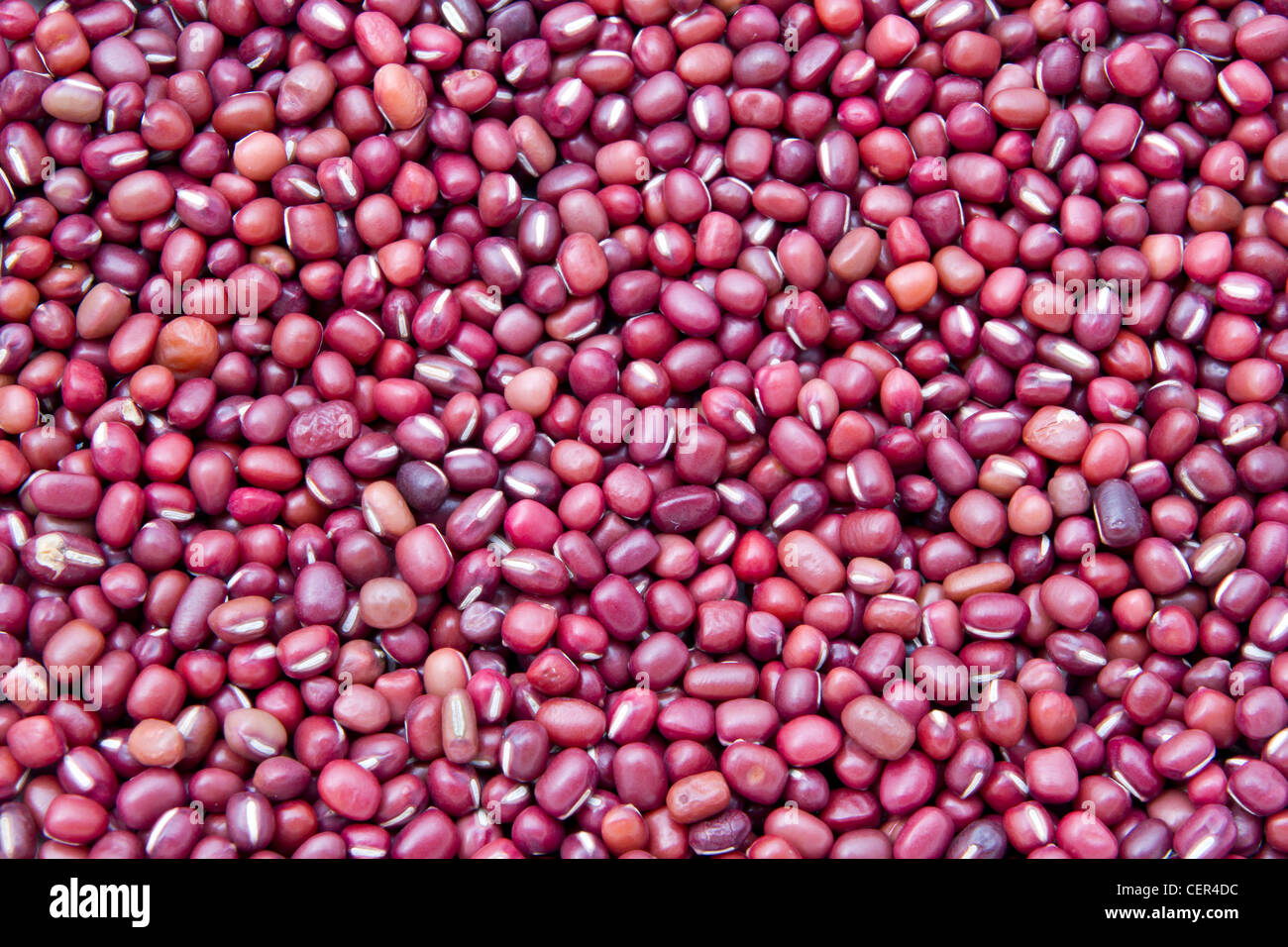 Red bean background Stock Photo - Alamy