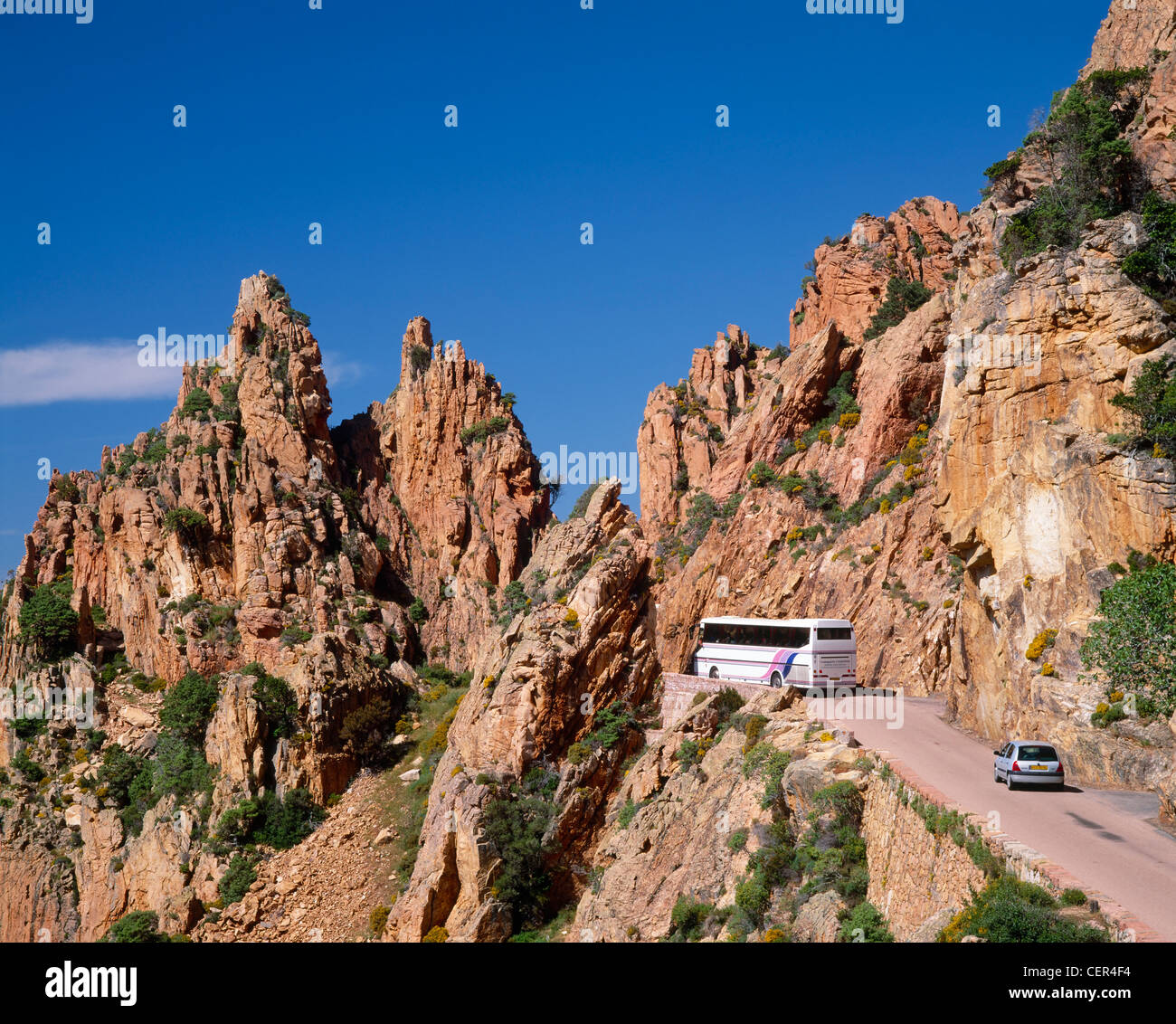 Tour Bus and car on the road through Les Calanche, near Porto, Corse du ...