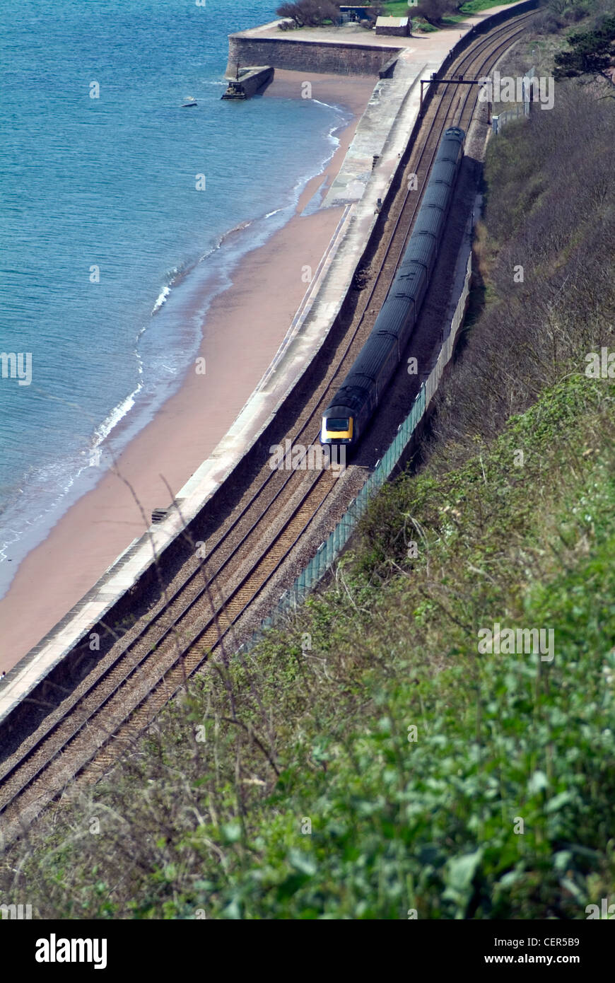 South devon railway High Resolution Stock Photography and Images - Alamy