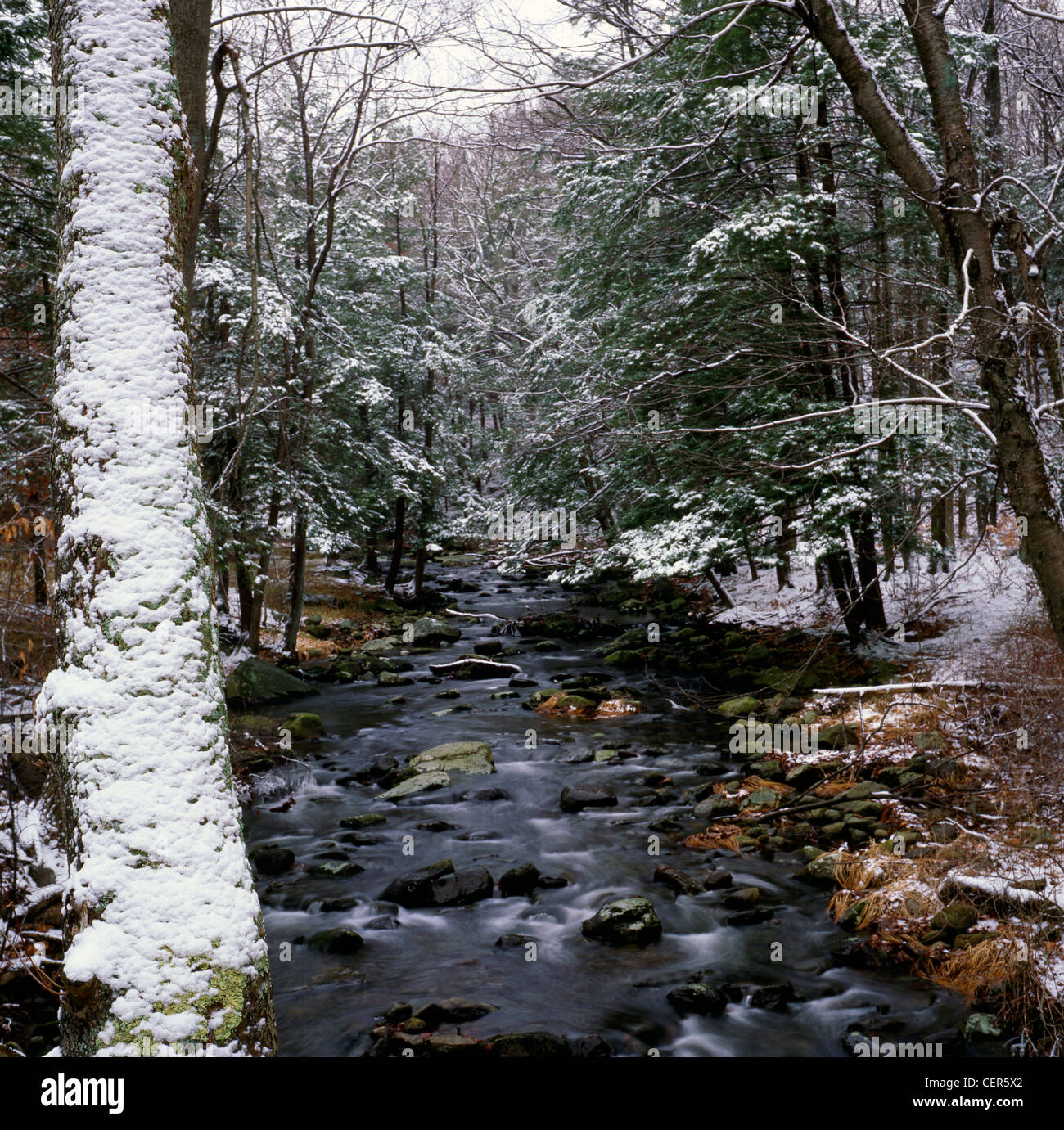 Winter scene stream snow hi-res stock photography and images - Alamy