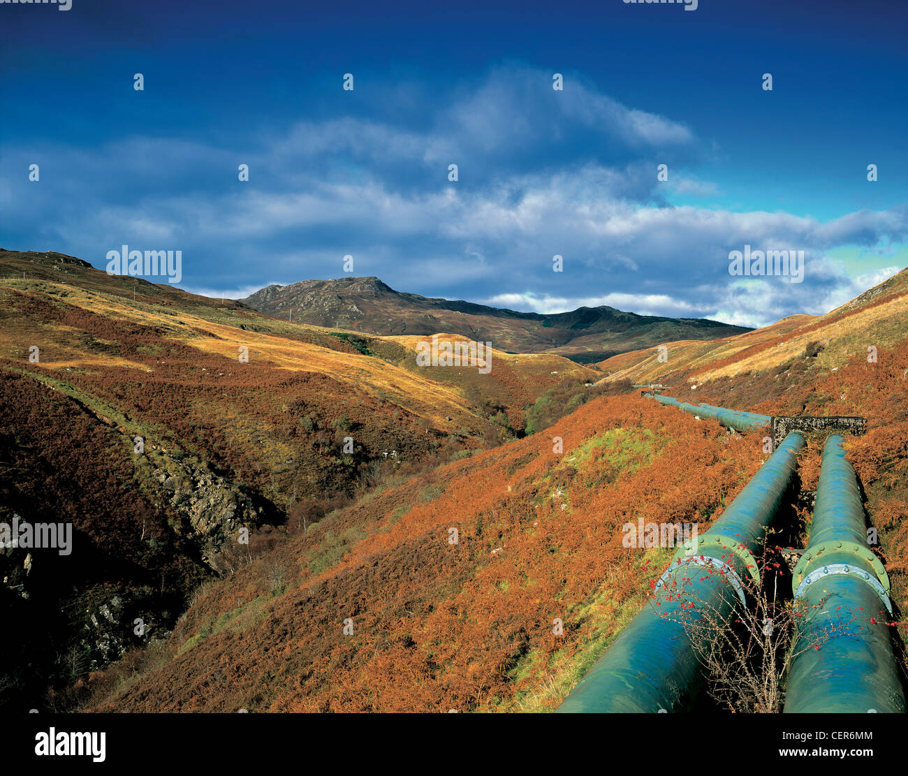 A view along a gas pipeline in rural Scotland Stock Photo - Alamy