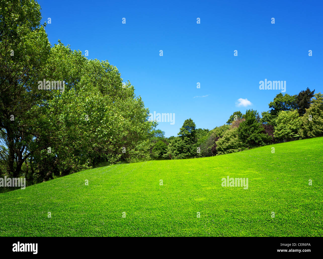 Green field and blue sky Stock Photo - Alamy