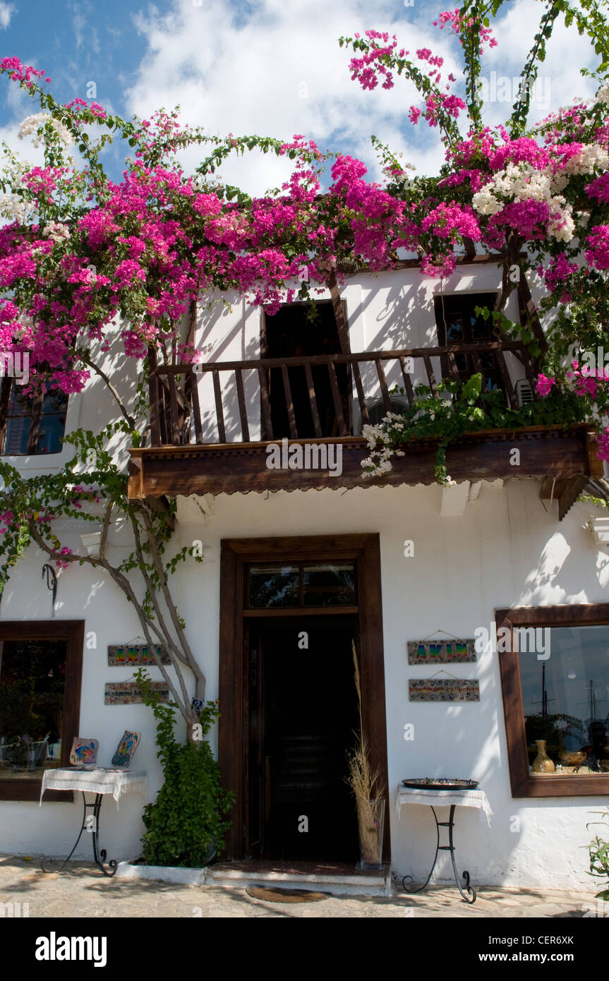 Turkish house exterior hi-res stock photography and images - Alamy
