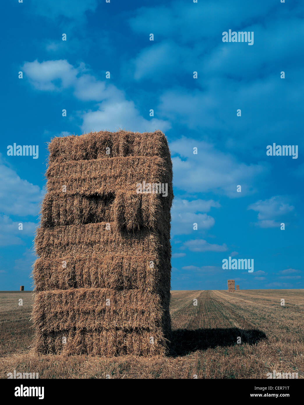 Witnesham suffolk hi-res stock photography and images - Alamy