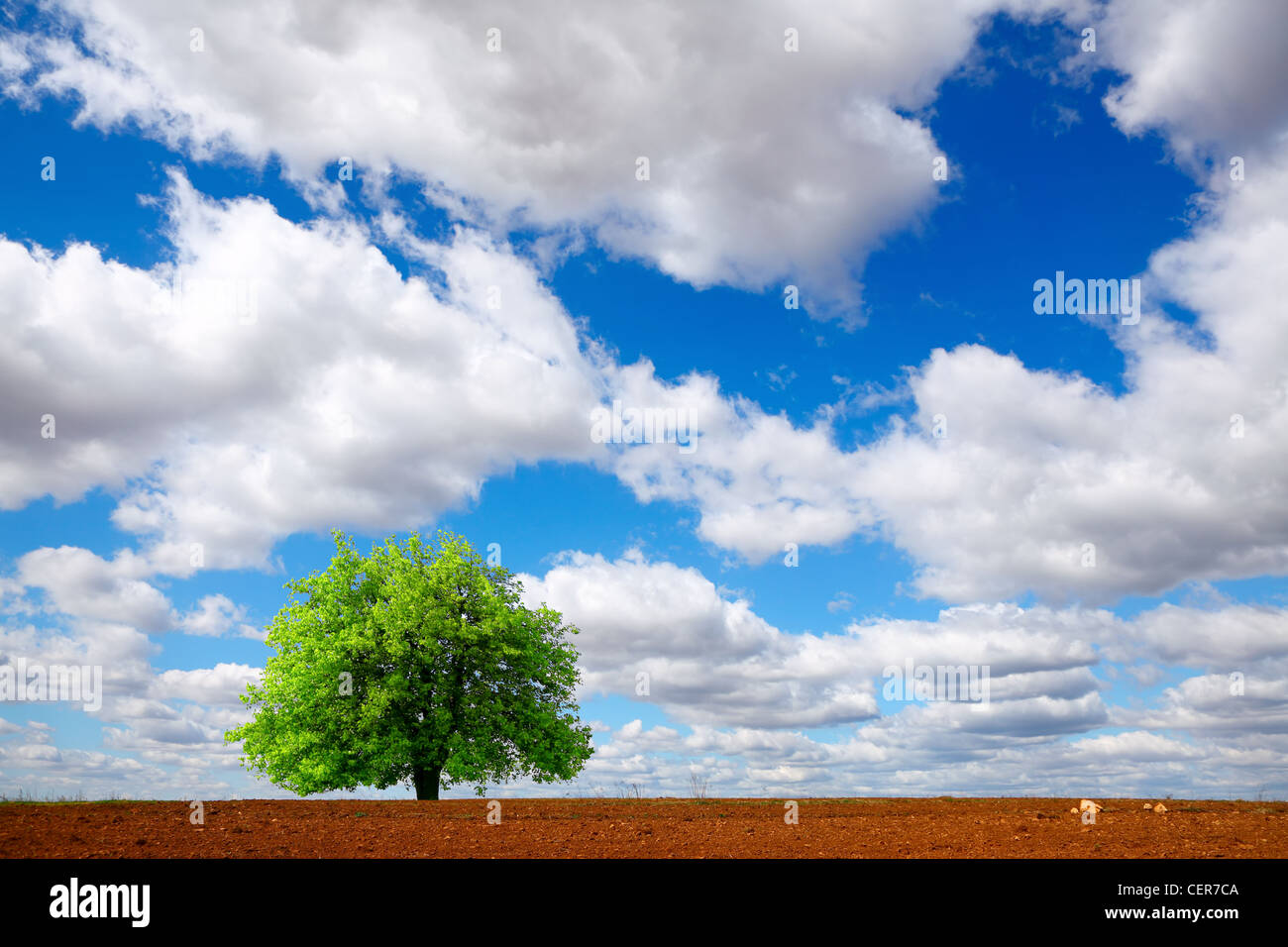 Green nature landscape Stock Photo - Alamy