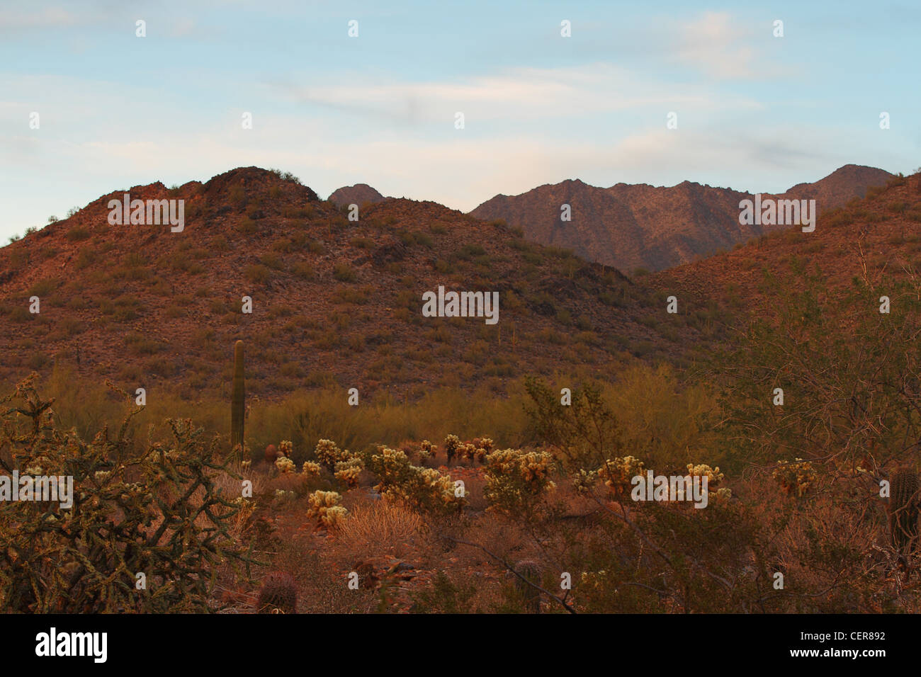 Southwest Desert Landscape Stock Photo - Alamy