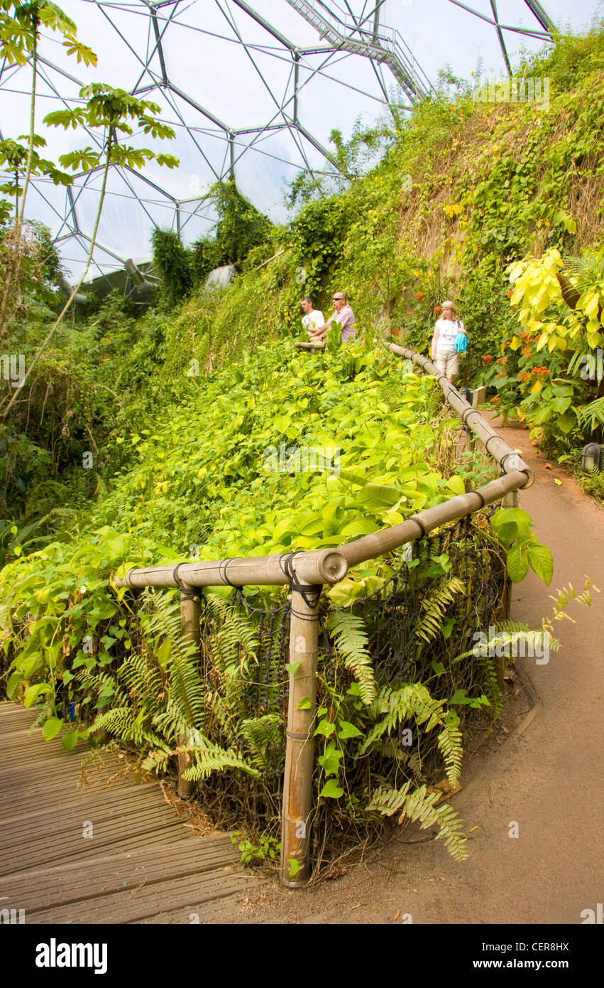 Eden project cornwall interior hi-res stock photography and images - Alamy
