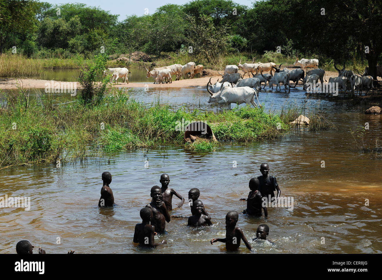 Bahr al ghazal river hi-res stock photography and images - Alamy
