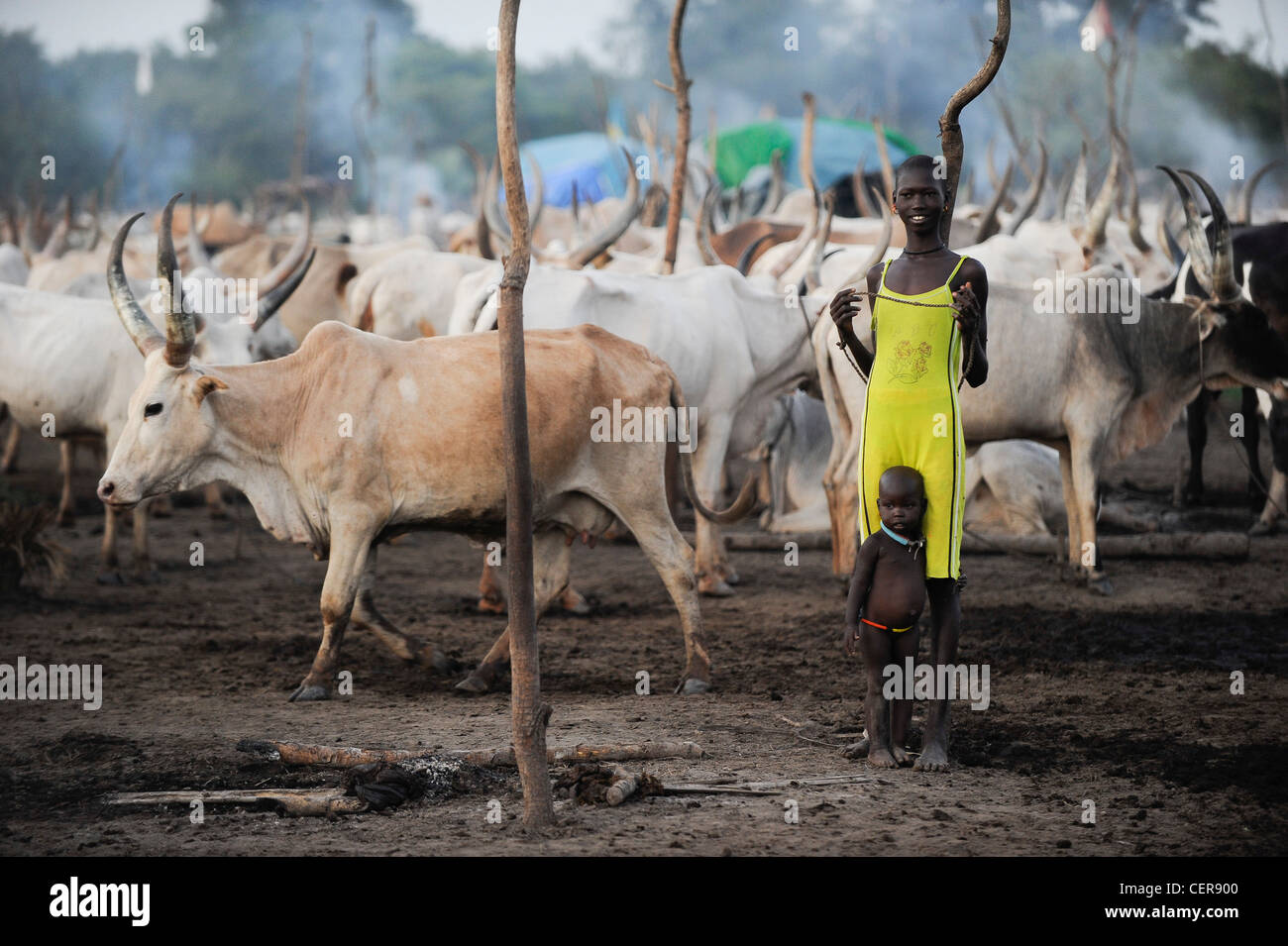 SOUTHERN SUDAN, Bahr al Ghazal region , Lakes State, Dinka tribe with ...