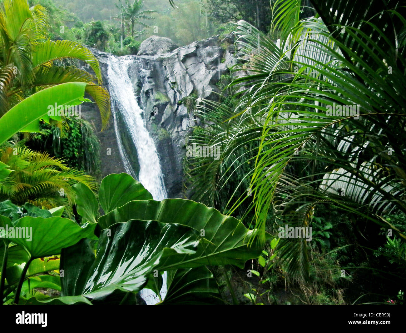 GRENADA The lower of the three Concord Waterfalls. Photo Tony Gale ...