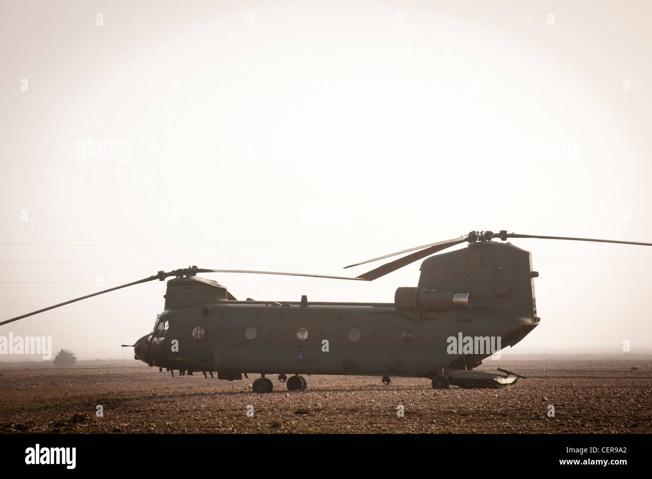 RAF Chinook helicopters on maneuvers in Moroccan desert, training for ...