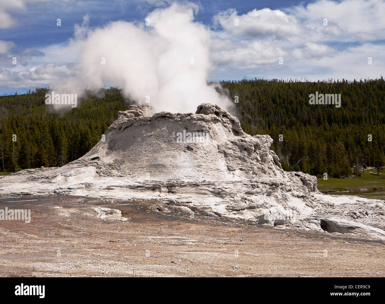 Castle Geyser in Yellowstone National Park Stock Photo - Alamy