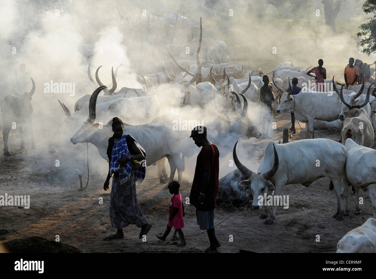 SOUTHERN SUDAN, Bahr al Ghazal region , Lakes State, Dinka tribe with ...