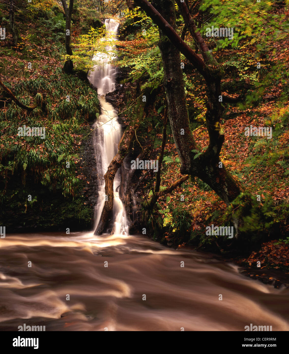 Natural waterfall in the River Roddlesworth. Heavy rain turned what is ...
