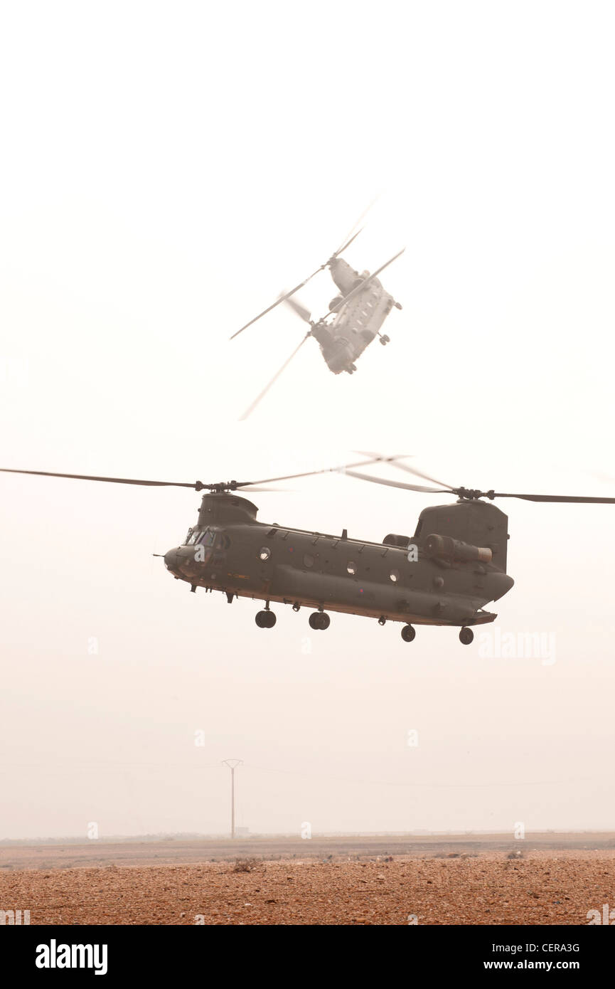 RAF Chinook helicopters on maneuvers in Moroccan desert, training for ...