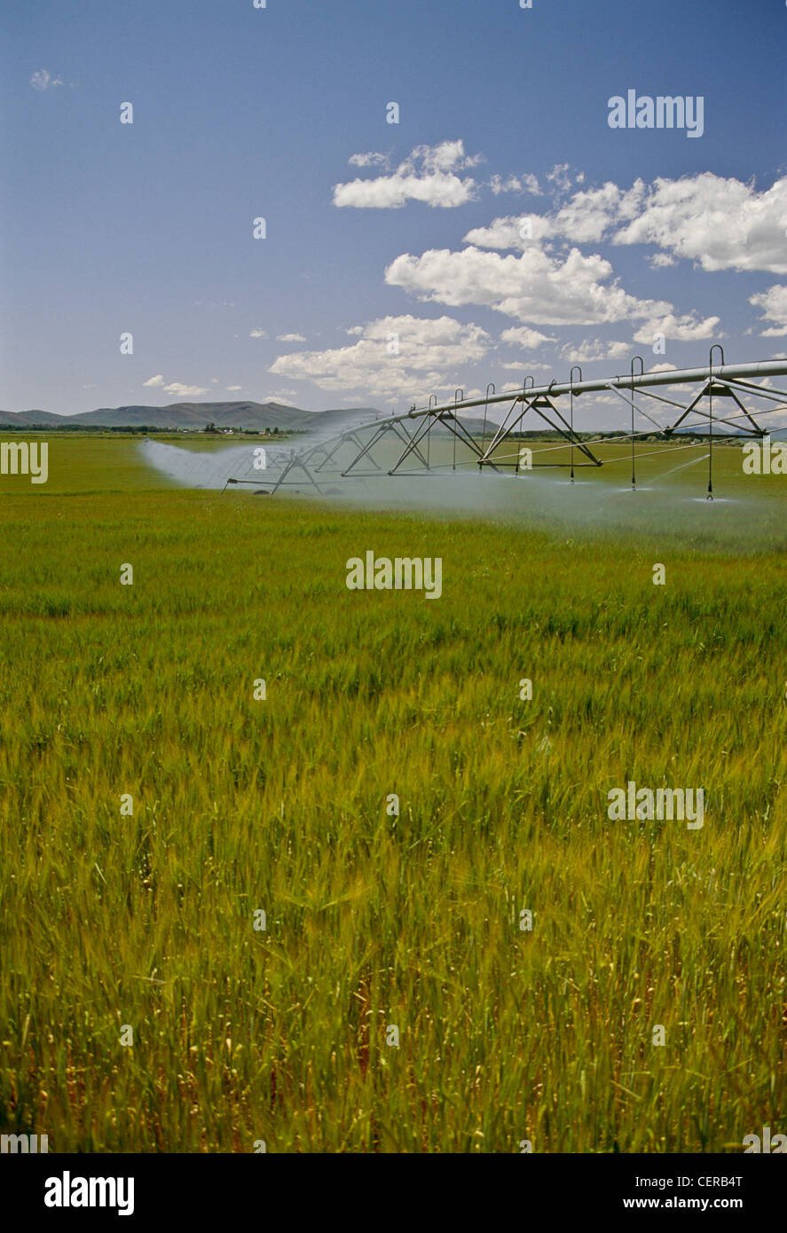 Center pivot irrigation america hi-res stock photography and images - Alamy