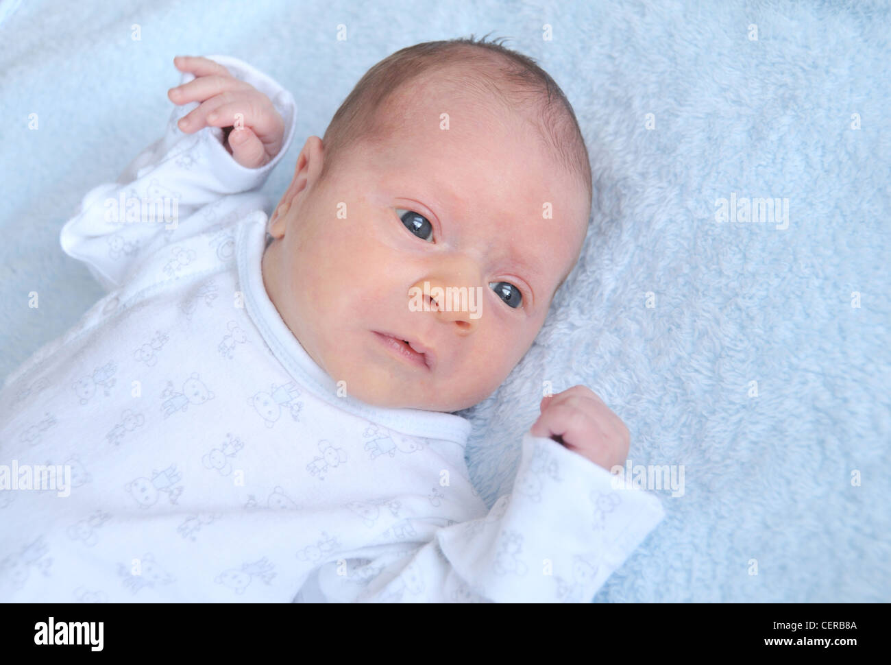 Newborn baby boy in blue Stock Photo - Alamy
