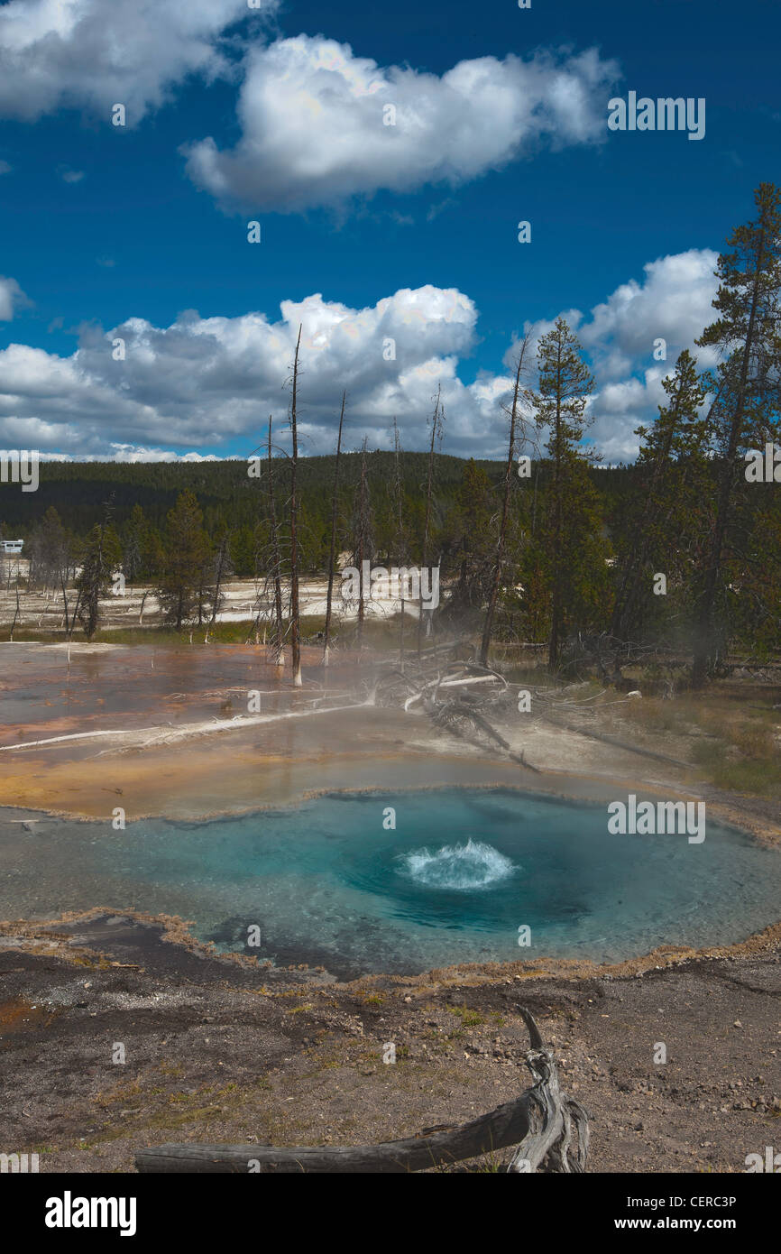 geyser pool at yellowstone national park Stock Photo - Alamy